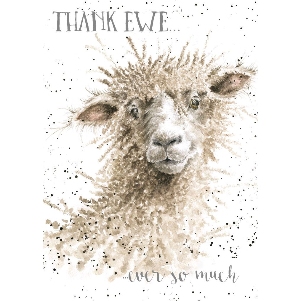 'Thank Ewe' Thank You card – The Grainery Greenhouse